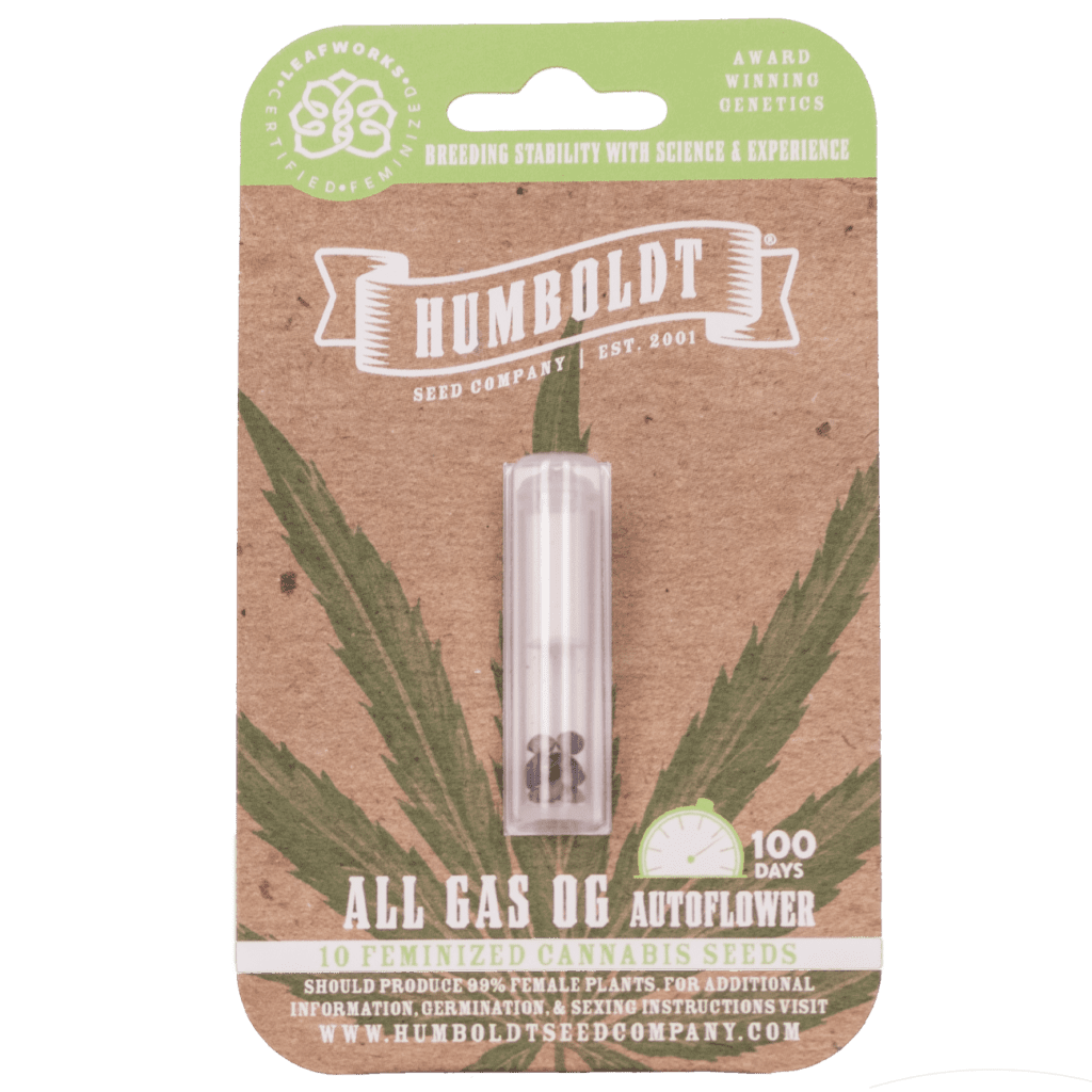All Gas OG Auto Seeds: Buy Feminized Autoflower Seeds - DCSE