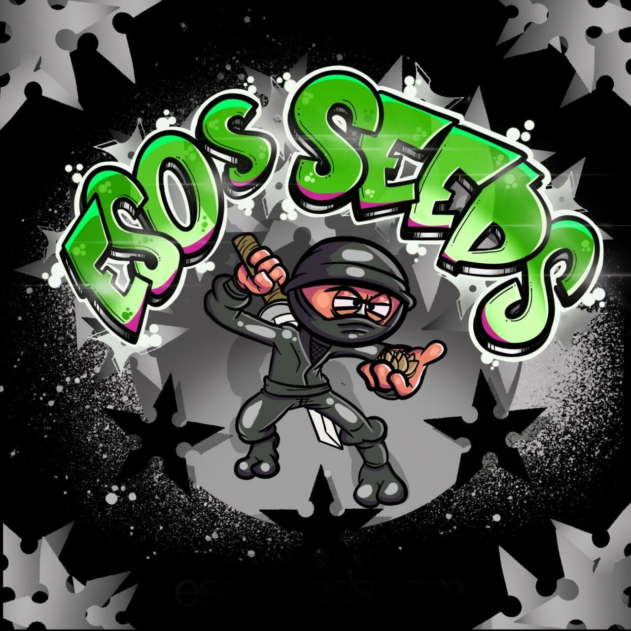 Herer Hashplant/Sour Boggle x Black & Blissful F1 10 Feminized Seeds - DCSE