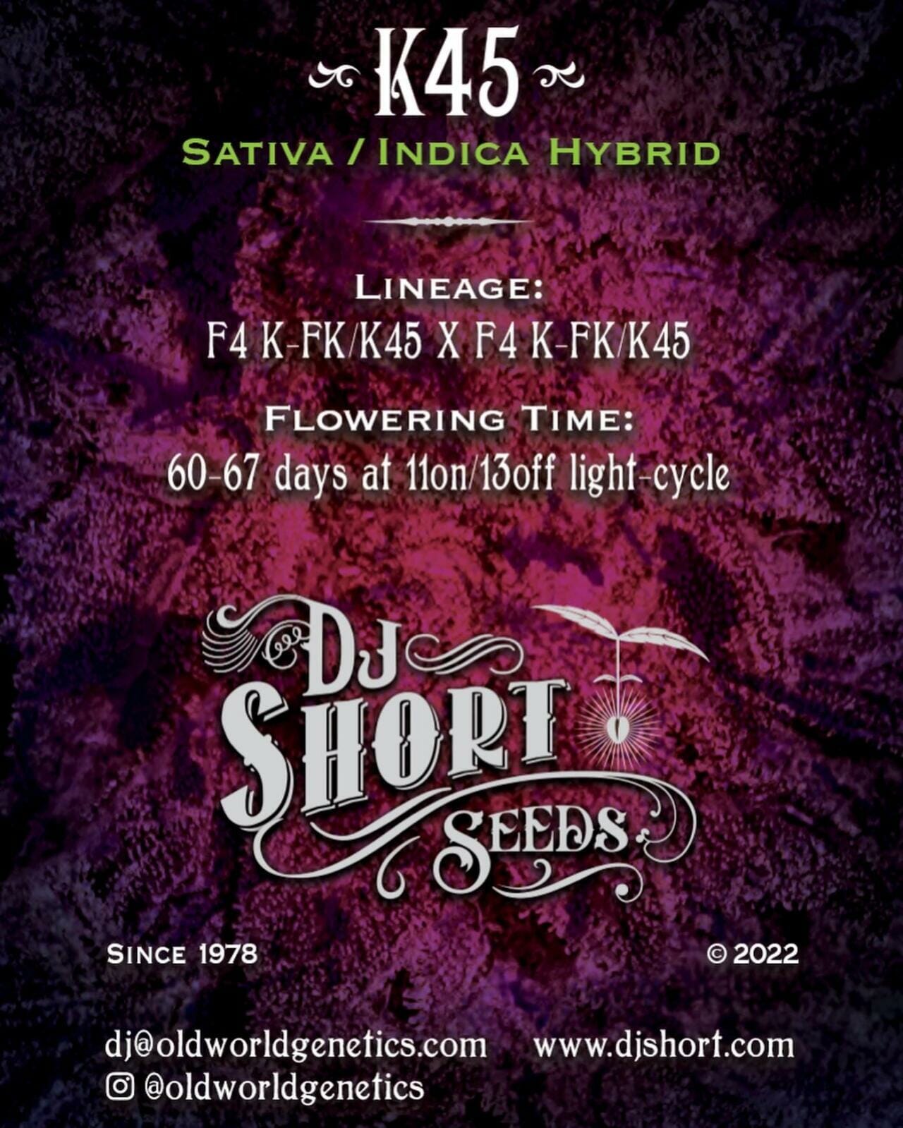 K45 F5 12 Regular Seeds: Buy Now at DC Seed Exchange