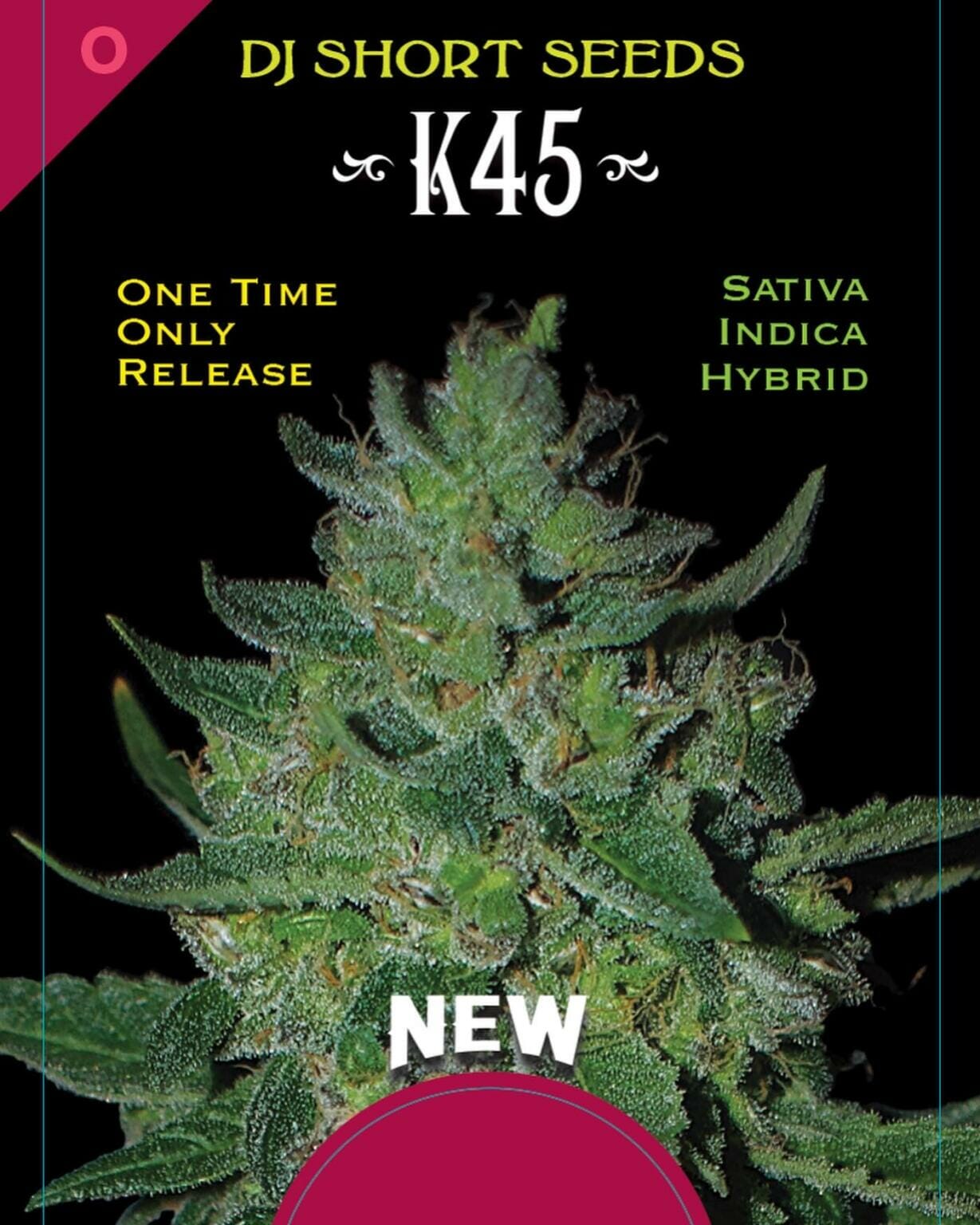 K45 F5 12 Regular Seeds: Buy Now at DC Seed Exchange
