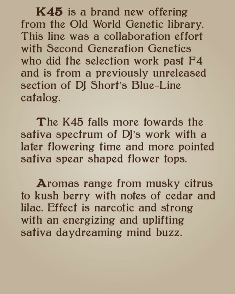 K45 F5 12 Regular Seeds: Buy Now at DC Seed Exchange