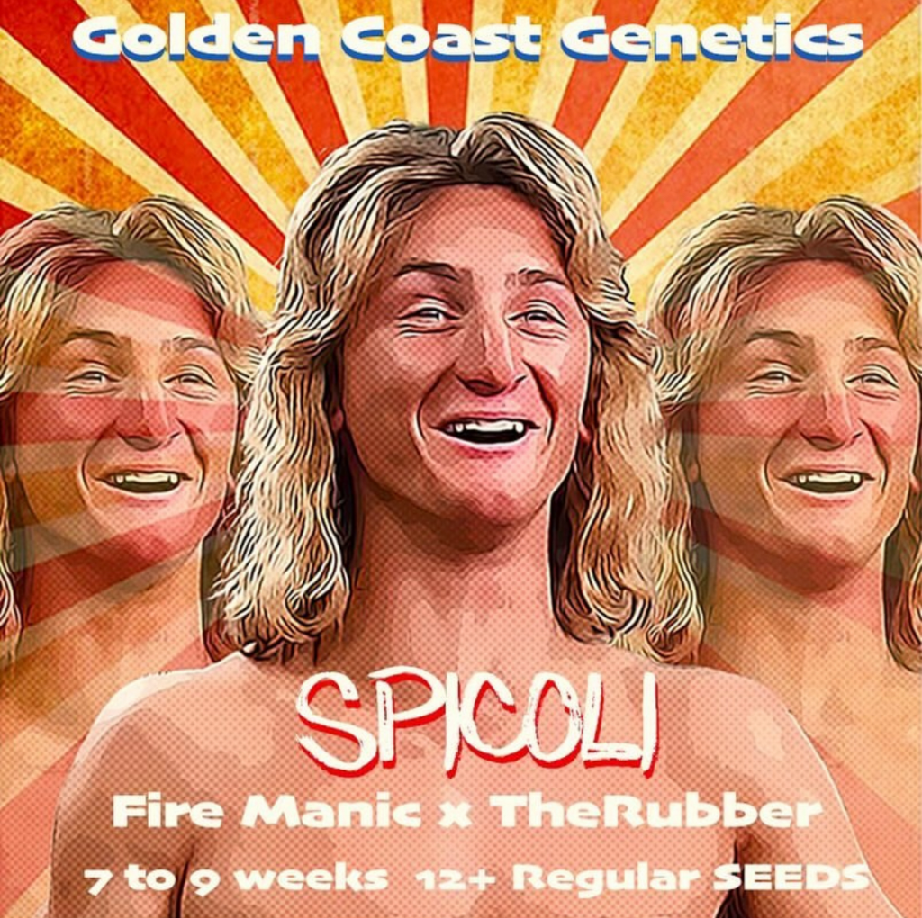 Spicoli F1 Seeds: Fire Manic X The Rubber - DCSE