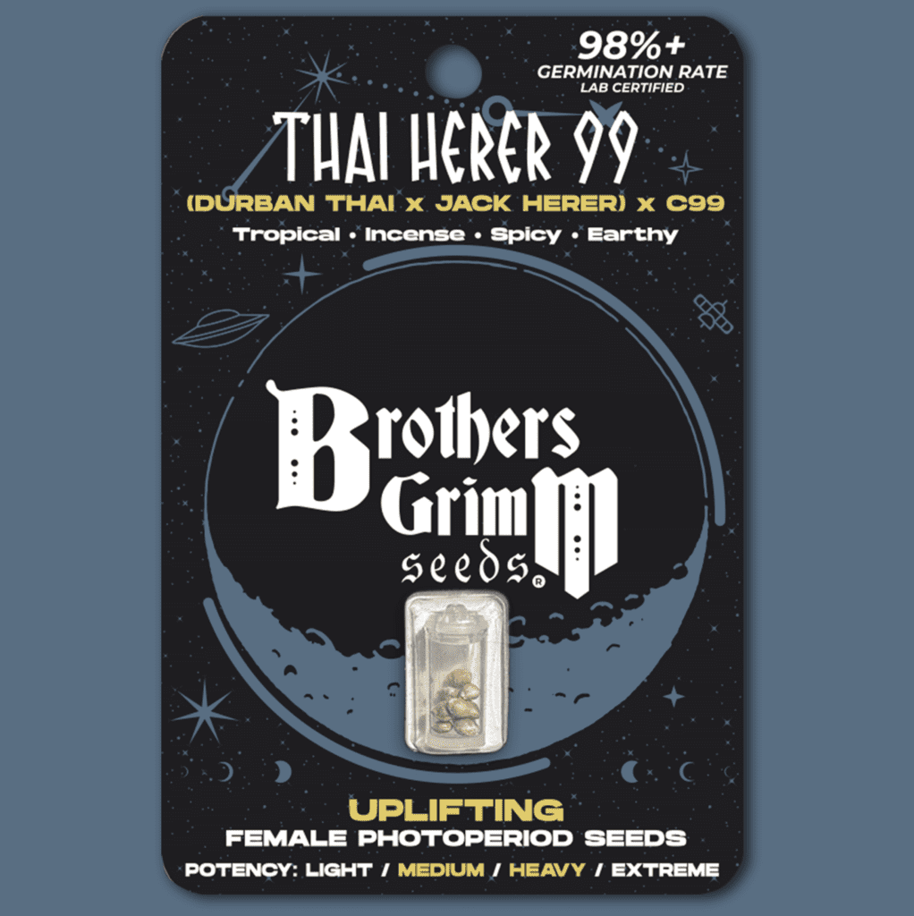 Thai Herer 99 3 Feminized Seeds at DCSE: Shop Now