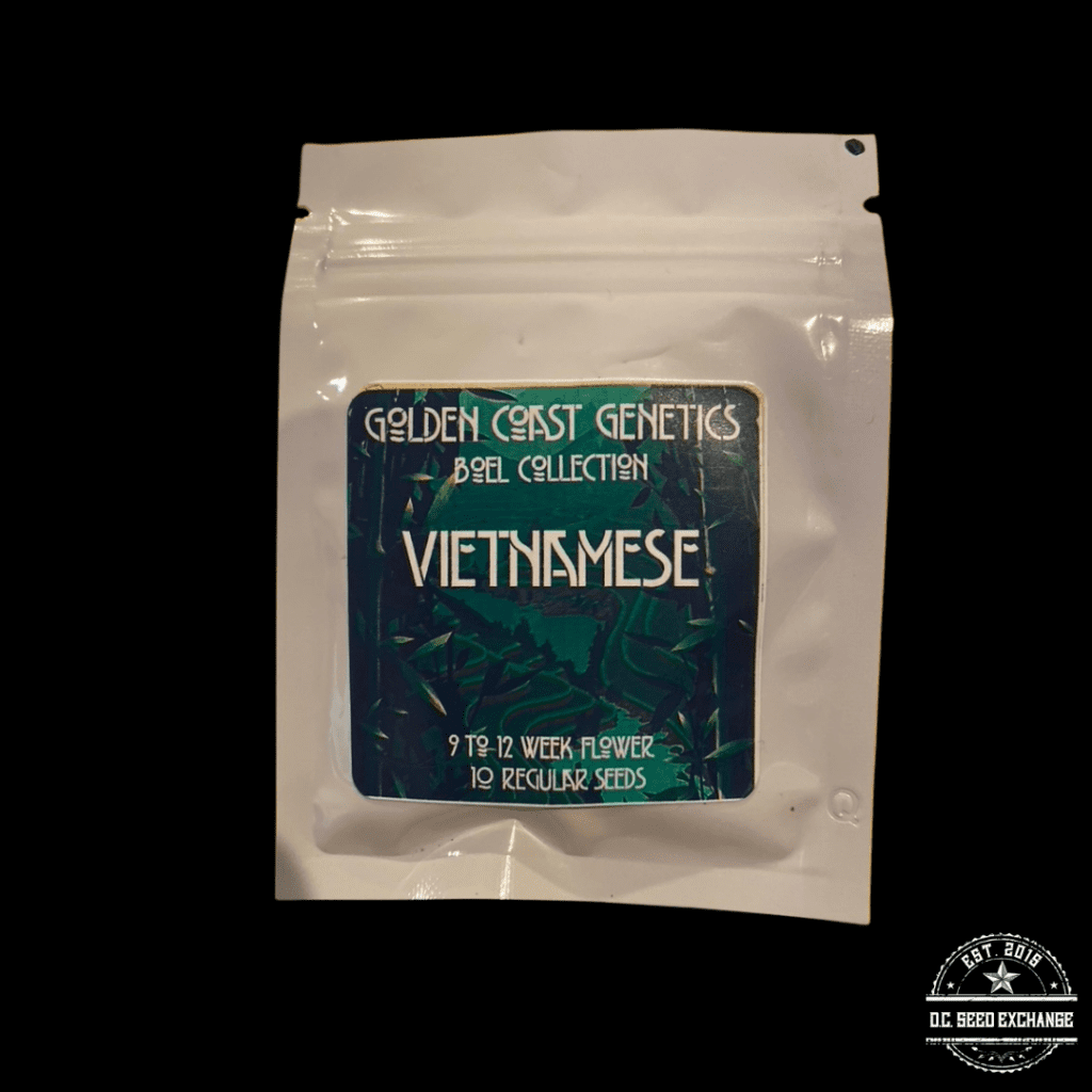 BOEL Vietnamese Seeds Auction: Golden Coast Genetics - Bid!