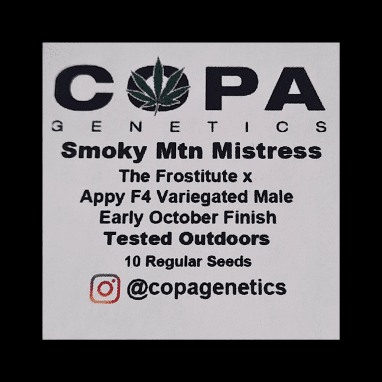 Smoky Mountain Mistress F1 (The Frostitute x Appy F4 Variegated Male ...