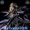 Blue Goliath F3 Seeds: Buy Now or Join the Waitlist - DCSE