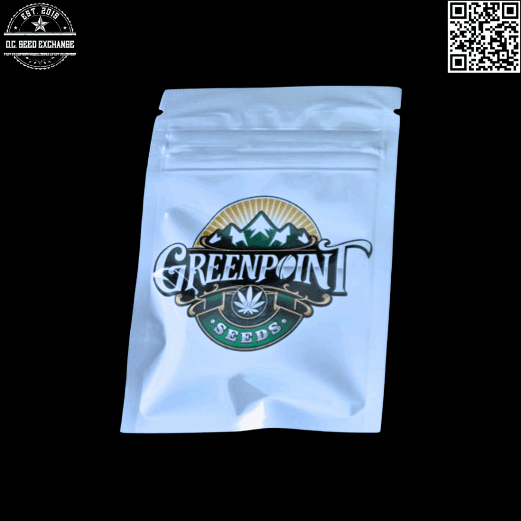 Greenpoint Seeds Purple Dream (Purple Punch x Blue Dream) 6 Feminized ...