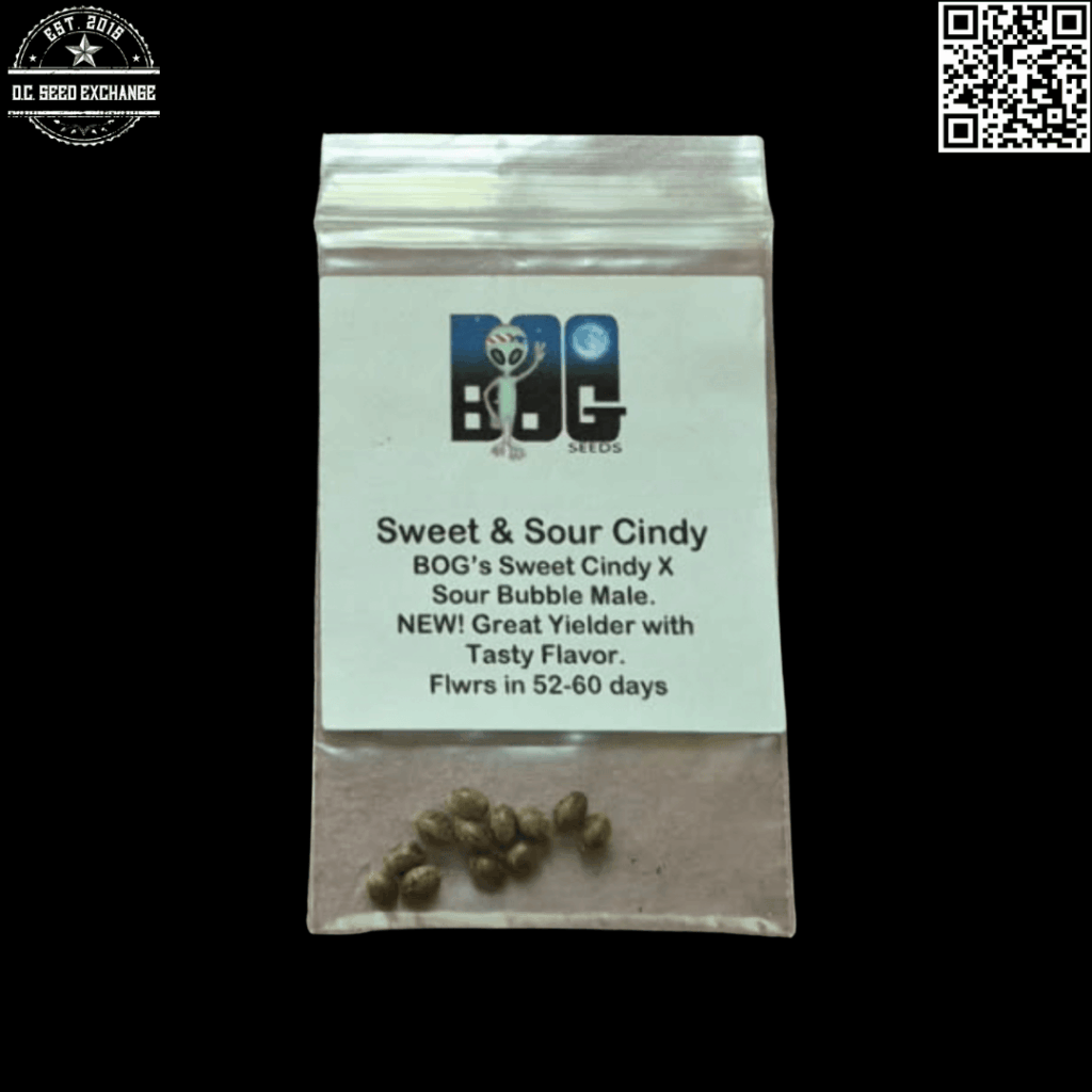 BOG Seeds Sweet & Sour Cindy (Sweet Cindy x Sour Bubble) 12 Regular ...