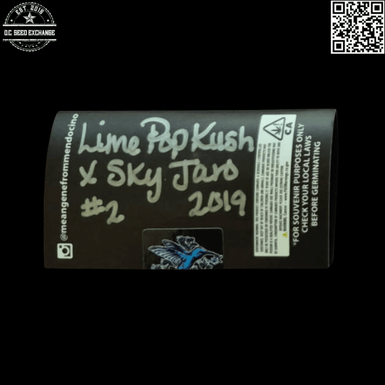 DCSE: Freeborn Seeds Auction - Lime Pop Kush