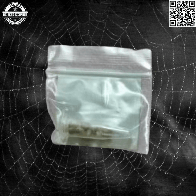 SnowHigh Seeds Deep Shit (Deep Chunk x Purple Bubba Kush x Strawberry ...