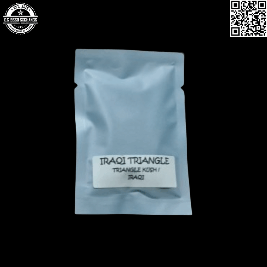 Strayfox Gardenz Iraqi Triangle (Triangle Kush x Iraqi) 10 Regular Seeds – DCSE