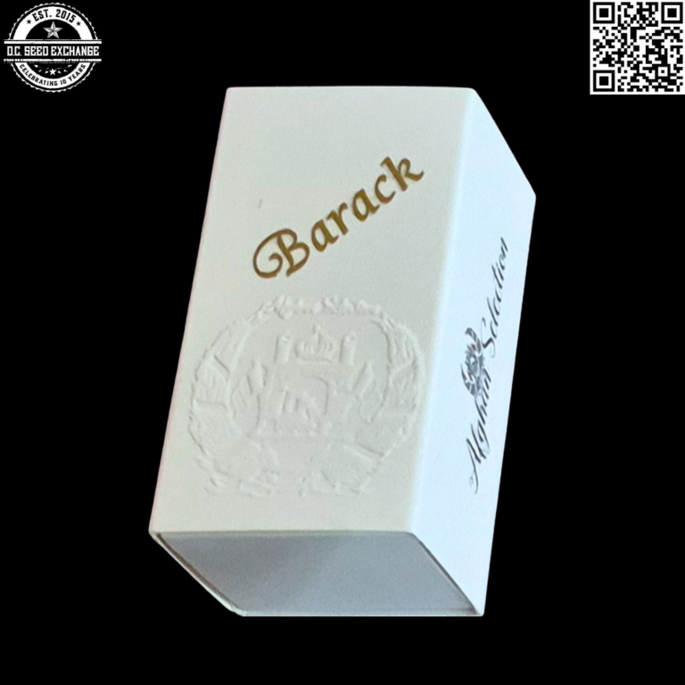 Afghan Selections Barack 12 Regular Landrace Seeds – DCSE