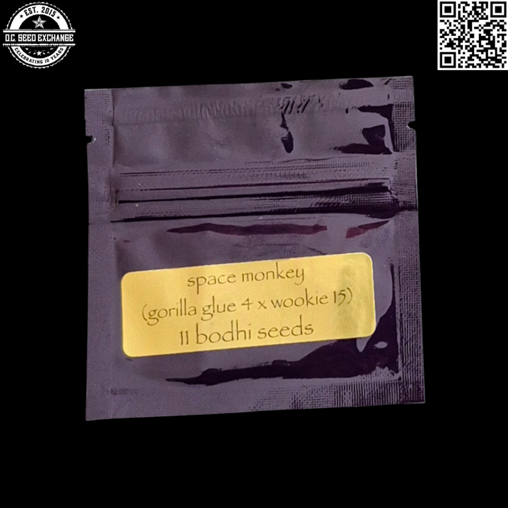 Space Monkey Seeds Auction: Gorilla Glue #4 x Wookie #15