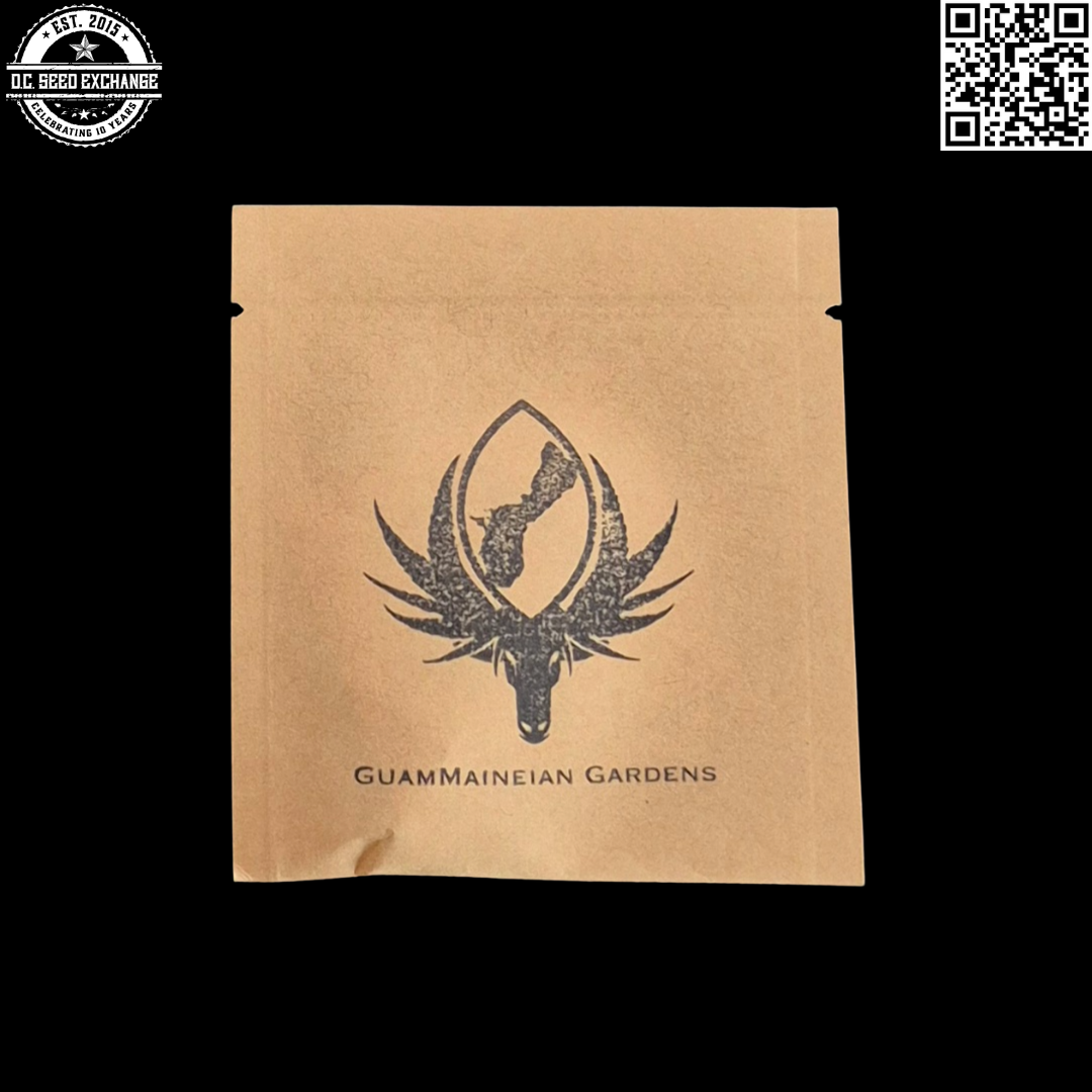 Road Dog x Chamhaole Seeds Auction at DCSE 2025