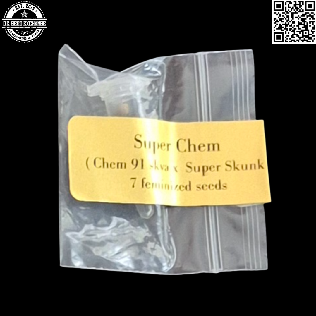 Off Grid Seeds Super Chem (Chem 91 SKVA x Super Skunk) 7 Feminized ...