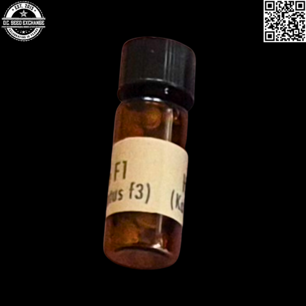 Pacific Northwest Roots Happy Chillmore F1 (Koffee F6 x Cherry Lotus F3 ...