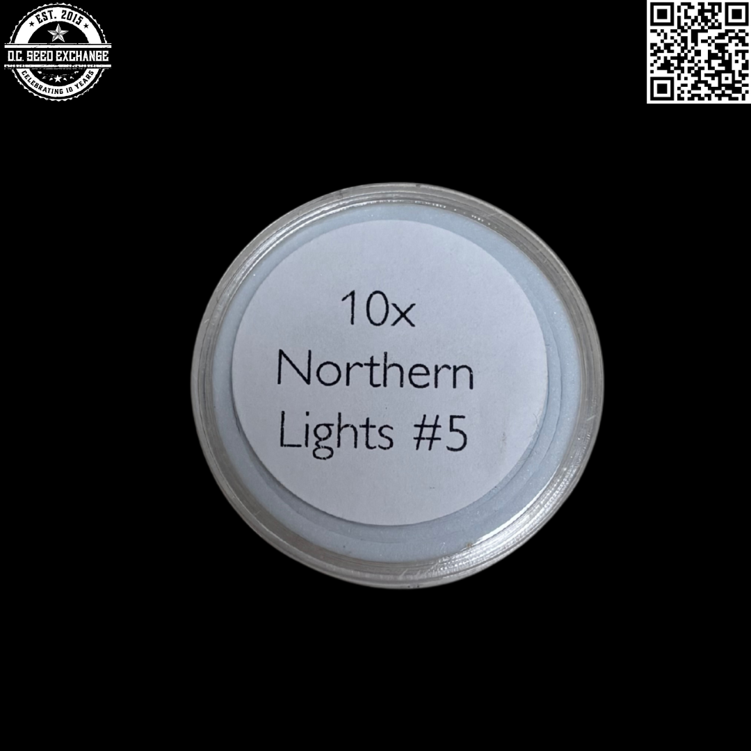 Authentic Genetics Northern Lights #5 10 Regular Seeds - DCSE