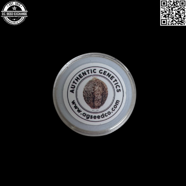 Authentic Genetics Northern Lights #5 10 Regular Seeds - DCSE