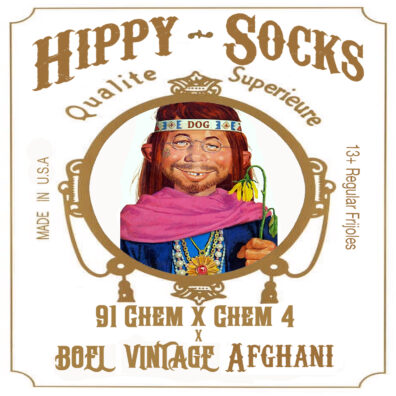 Hippy Socks ((91 Chem x Chem4) x BOEL Vintage Afghani) 13 Regular Seeds ...