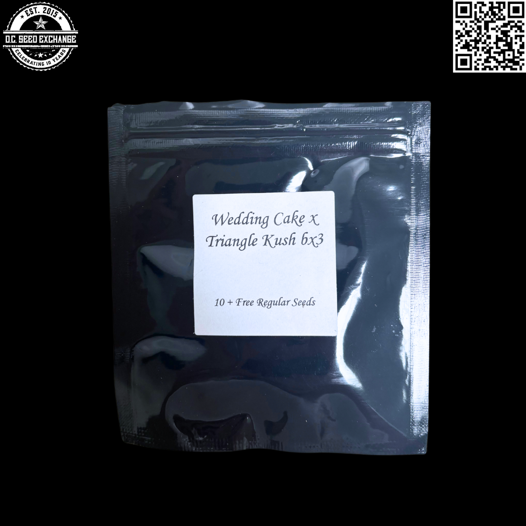 Seed Junky Genetics Wedding Cake x Triangle Kush Bx3 10 Regular Seeds ...